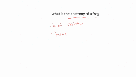 Where is the location of frog blood smear function and...