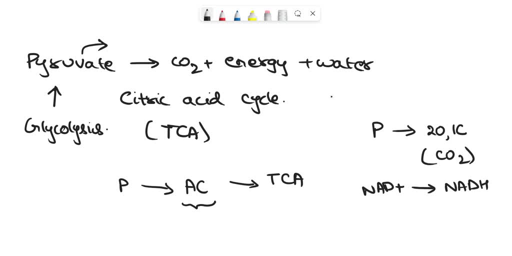 SOLVED: In the cell, which organelle has the function of using oxygen ...