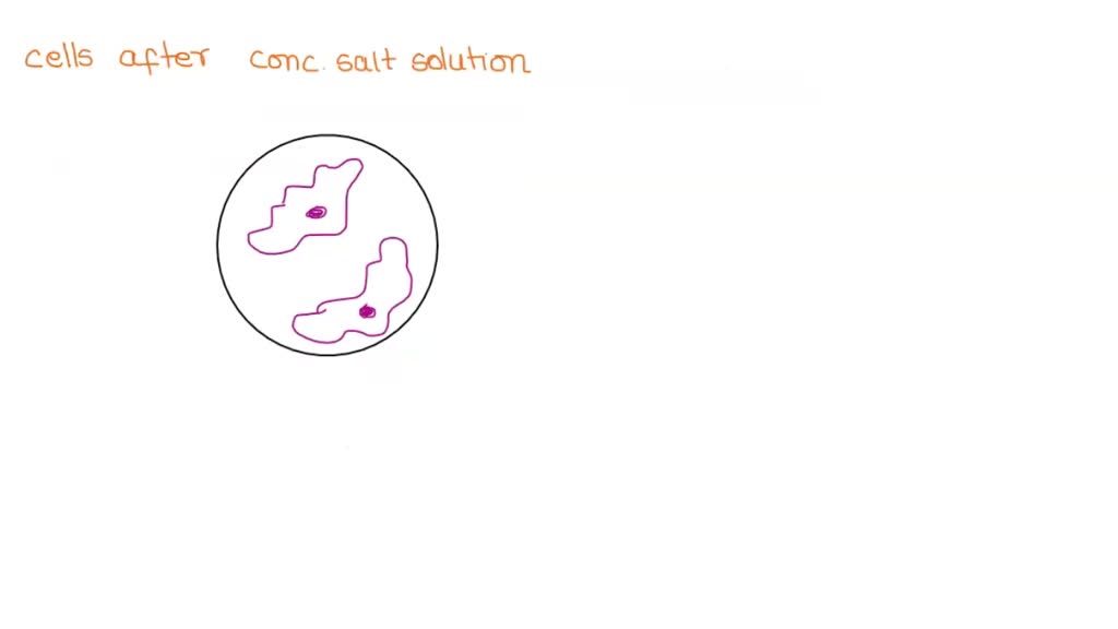 Check Your Understanding: Tissue Fluid and Cell Concentration Tissue ...