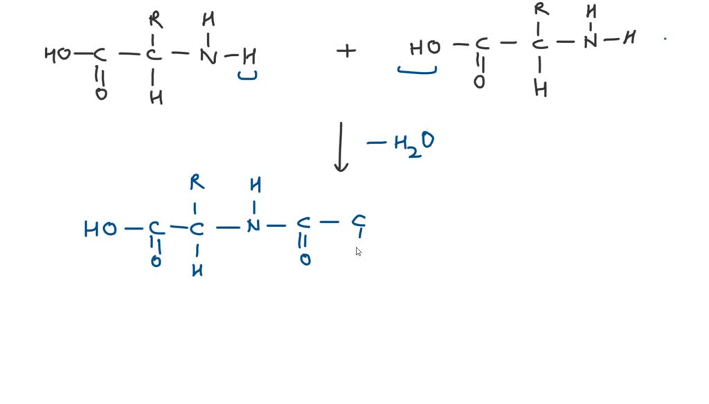 SOLVED: Which of the following pairs of molecules could be joined ...
