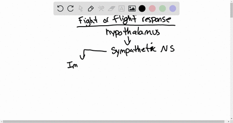 Draw a flowchart that explains how toms nervous system...