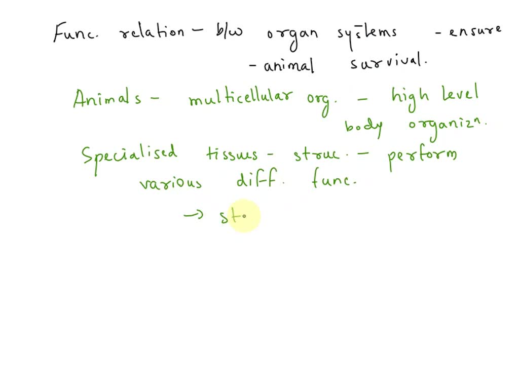 Solved Functional Relationships Of The Different Organ Systems In