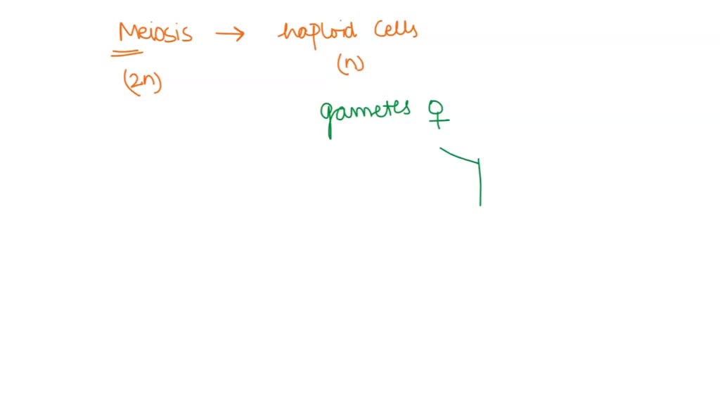 SOLVED: In a diploid species, meiosis produces haploid gametes. How is ...