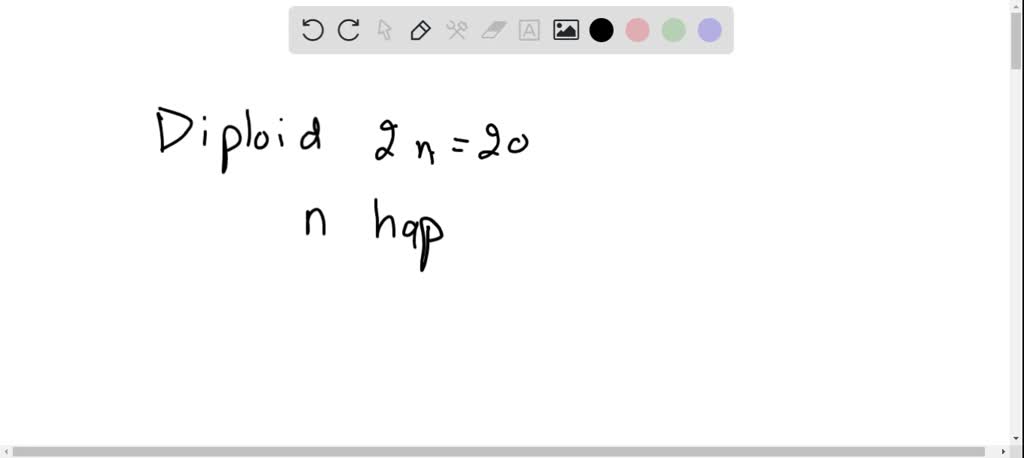 SOLVED: A cell was 2n = 20. At G2 after Meiosis 2 has been completed ...