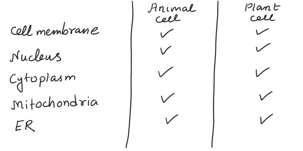 SOLVED: There are similarities and differences between cell membranes of plants and animals ...
