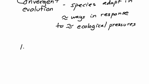 Convergent evolution is the blank evolution of features in...