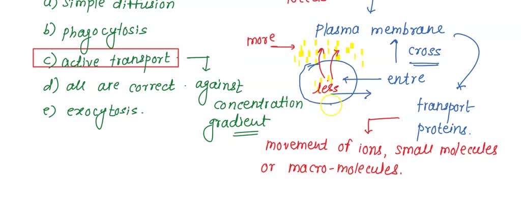 In which process does the cell engulf external materials and bring them ...