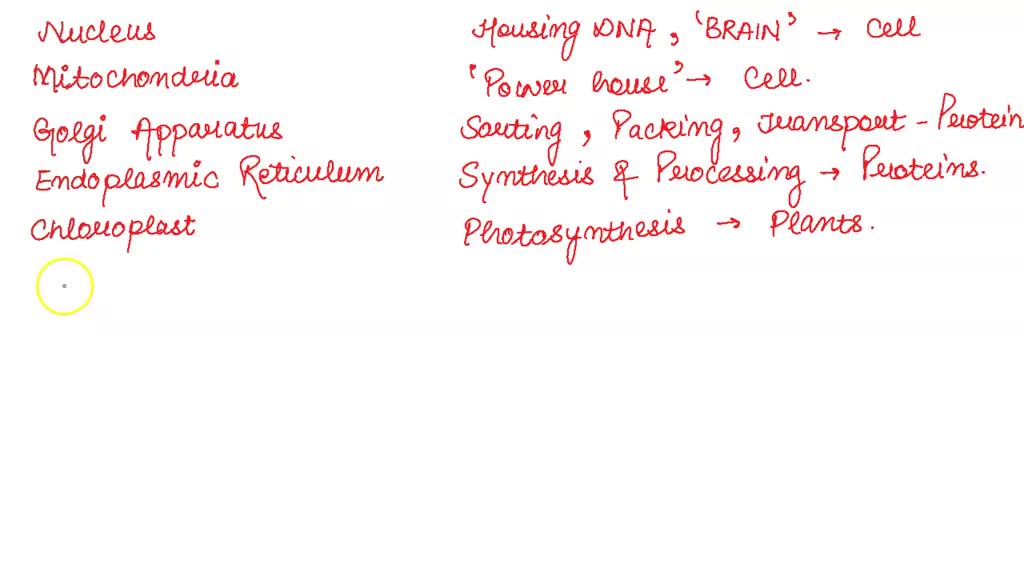 SOLVED: 'Can I get help with the cell structure and major cell types ... SOLVED: 'Can I get help with the cell structure and major cell types ...