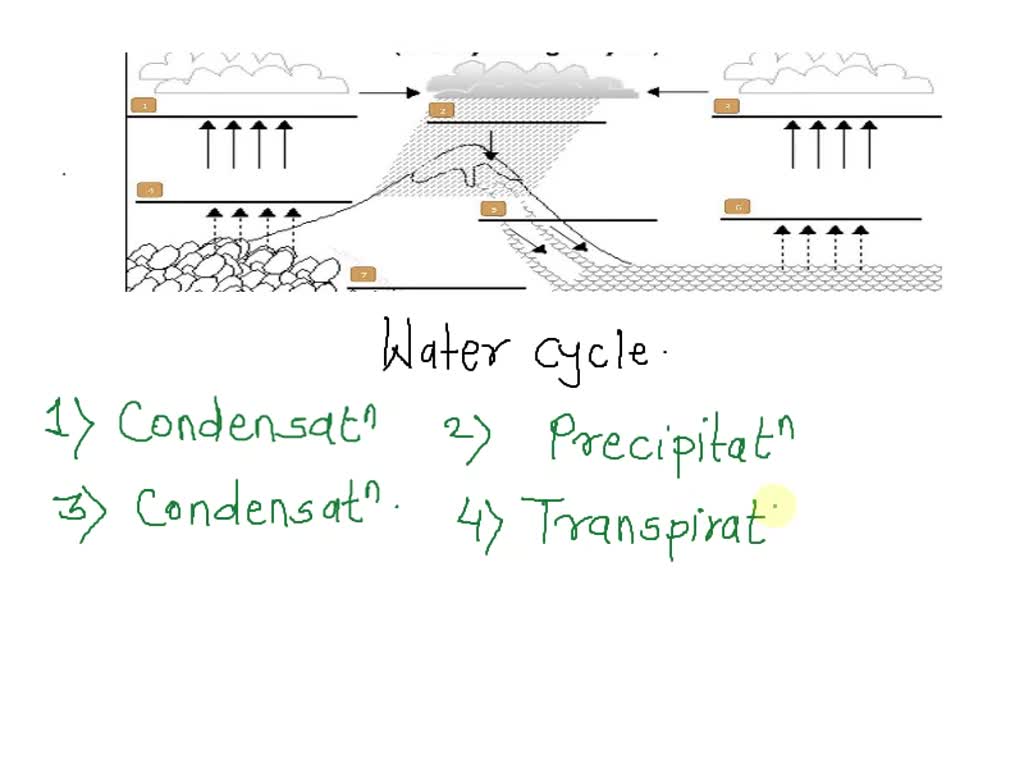 SOLVED: 'Fill in the blanks with the correct word for the Water Cycle ...