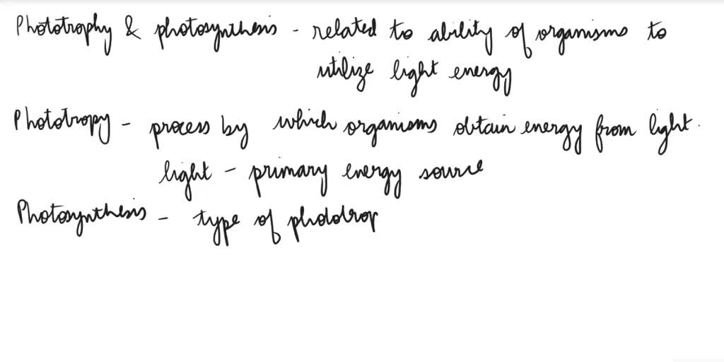 What is the difference between microphylls and megaphylls? How does the ...