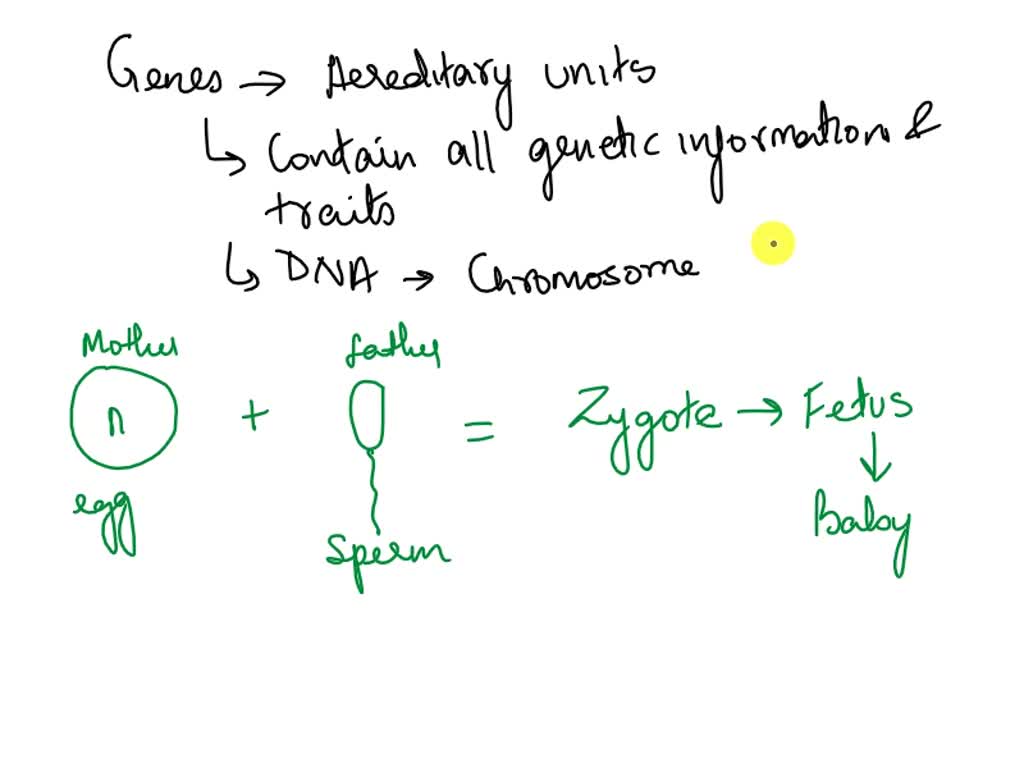 SOLVED: a child asked from her teacher that why organisms resemble more ...