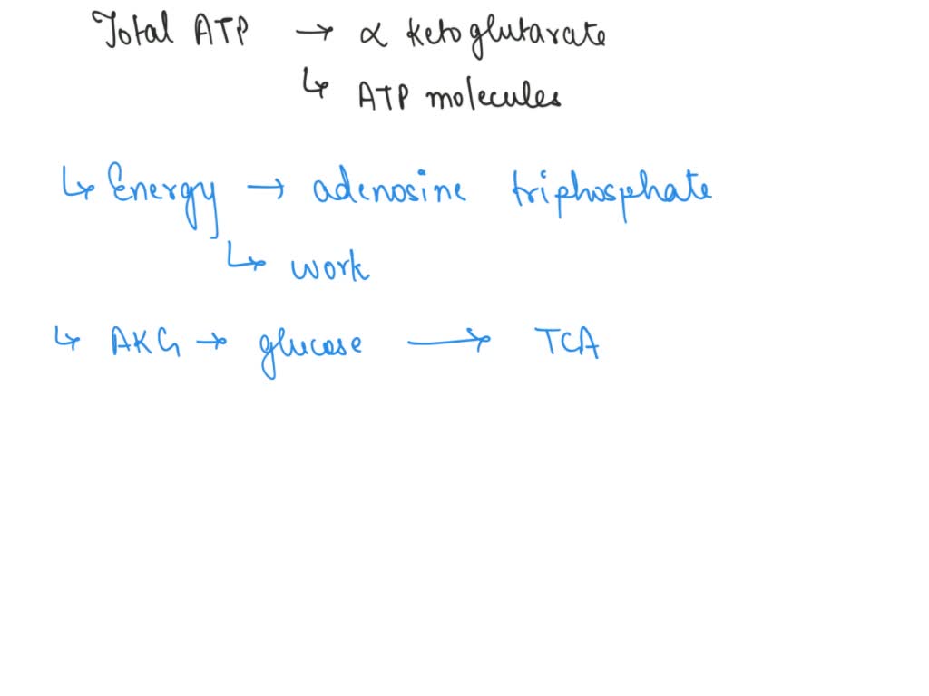 SOLVED: poinits Calculate the number of molecules of ATP formed by the ...