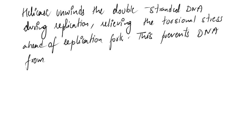 SOLVED: 3b) Both helicase and gyrase alter the topology (the 3-dimensional structure) of DNA ...