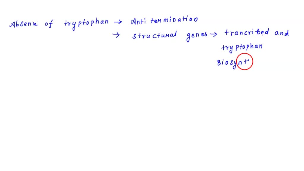 SOLVED: The leader sequence of trp operant rna contains two tryptophan ...