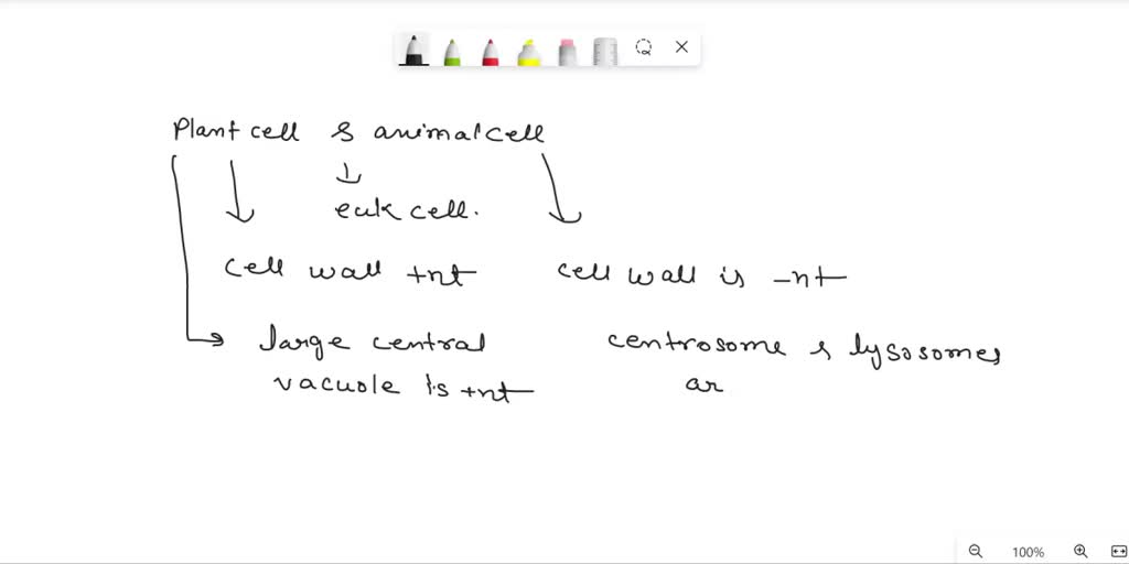 SOLVED: 3. What features of plant cells make them different from animal ...