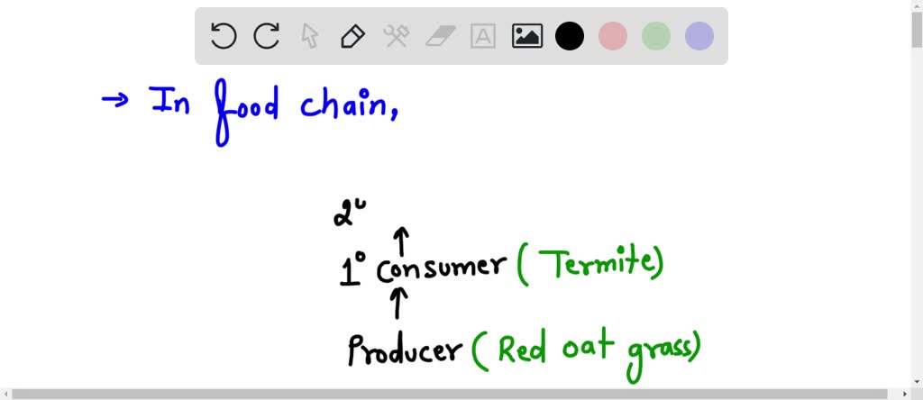 SOLVED: 'Food webs diagram the complex relationships of energy flow in ...