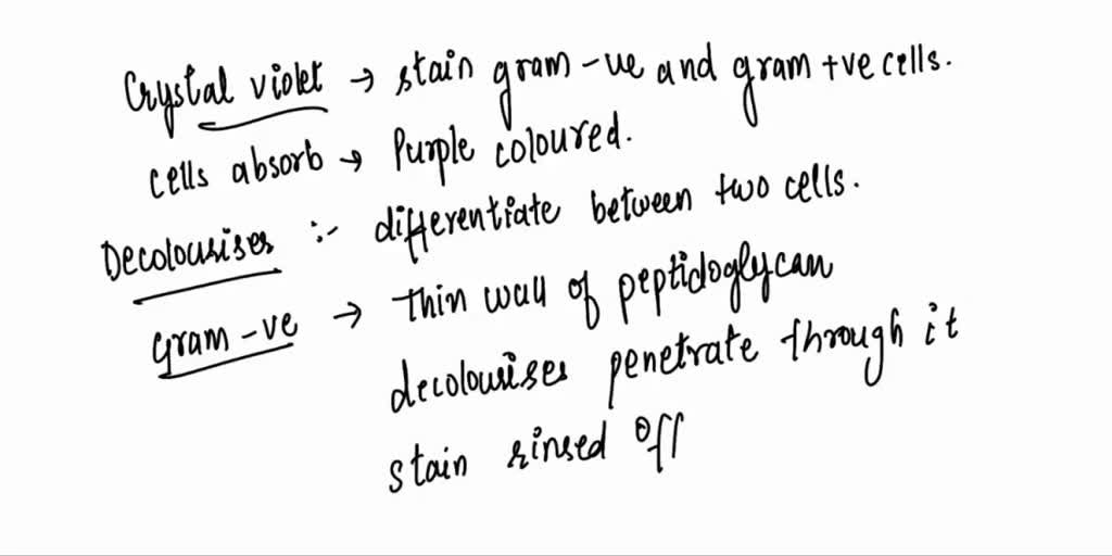 SOLVED: What would be the expected result of failure to apply the ...