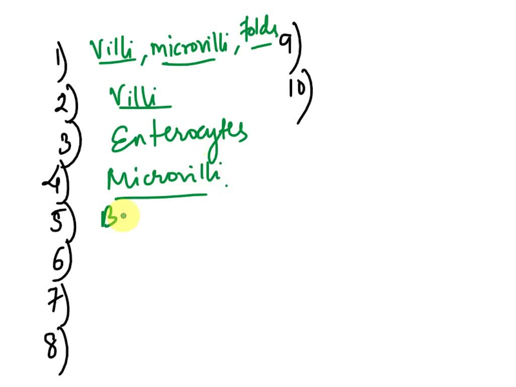 SOLVED: The structure of the small intestine has three features that ...