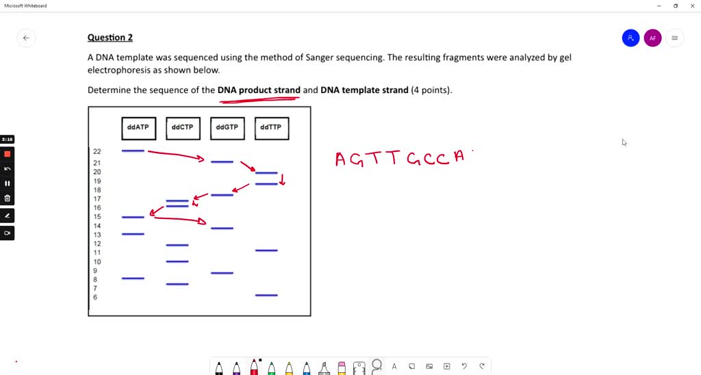 SOLVED: Question 2 DNA template was sequenced using the method of ...