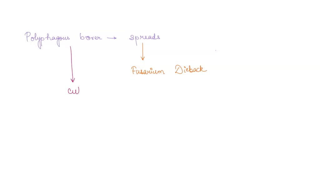 SOLVED: Which of the following are stains used in typical transmission ...