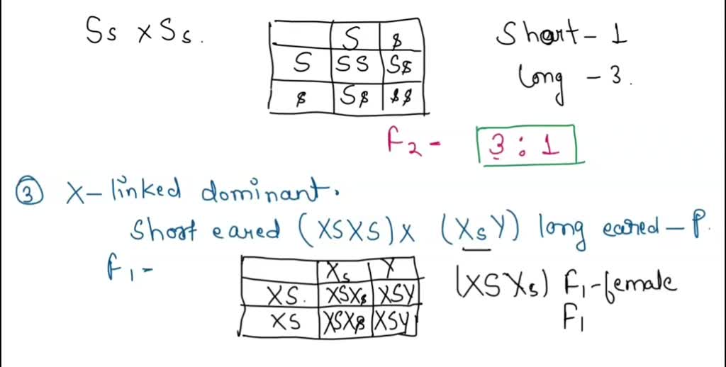 SOLVED: Suppose the ear length of two populations of jerboas is ...