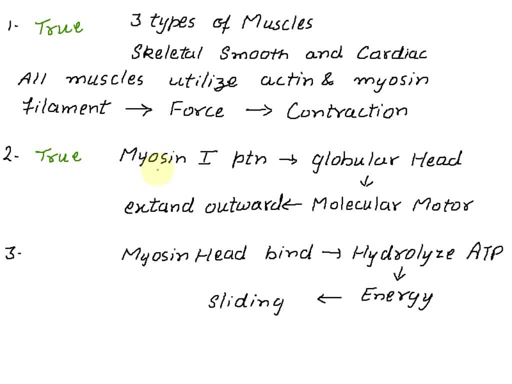 SOLVED: All types of muscle contain actin and myosin myofilaments. True ...