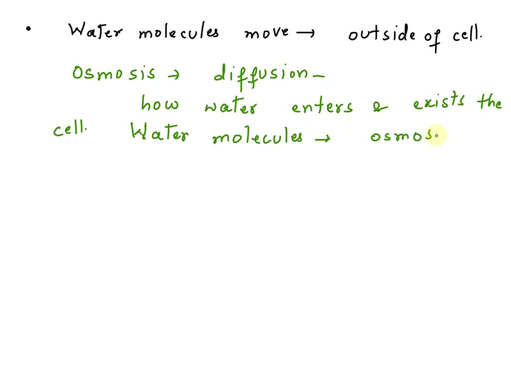 SOLVED: Why do the water molecules move to the outside of the cell ...