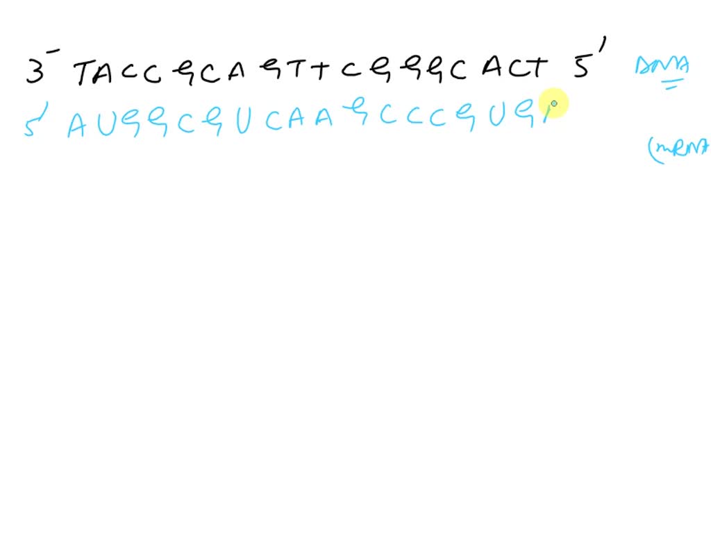 SOLVED: Use the following DNA sequence to transcribe and then translate the gene into a protein ...