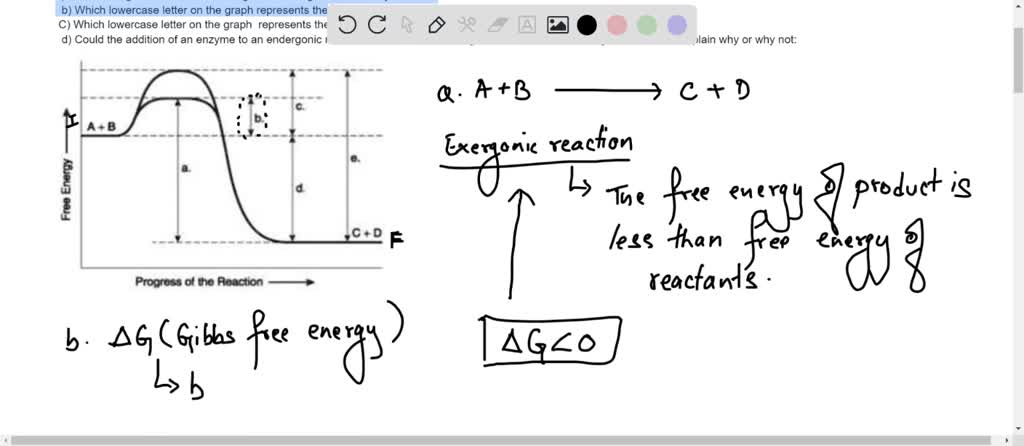 SOLVED: The graph below shows energy profiles of the catalyzed and ...