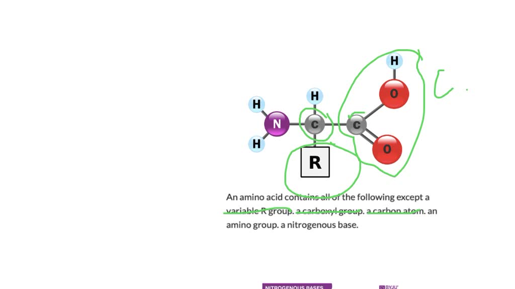 SOLVED: An amino acid contains all of the following except a variable R ...