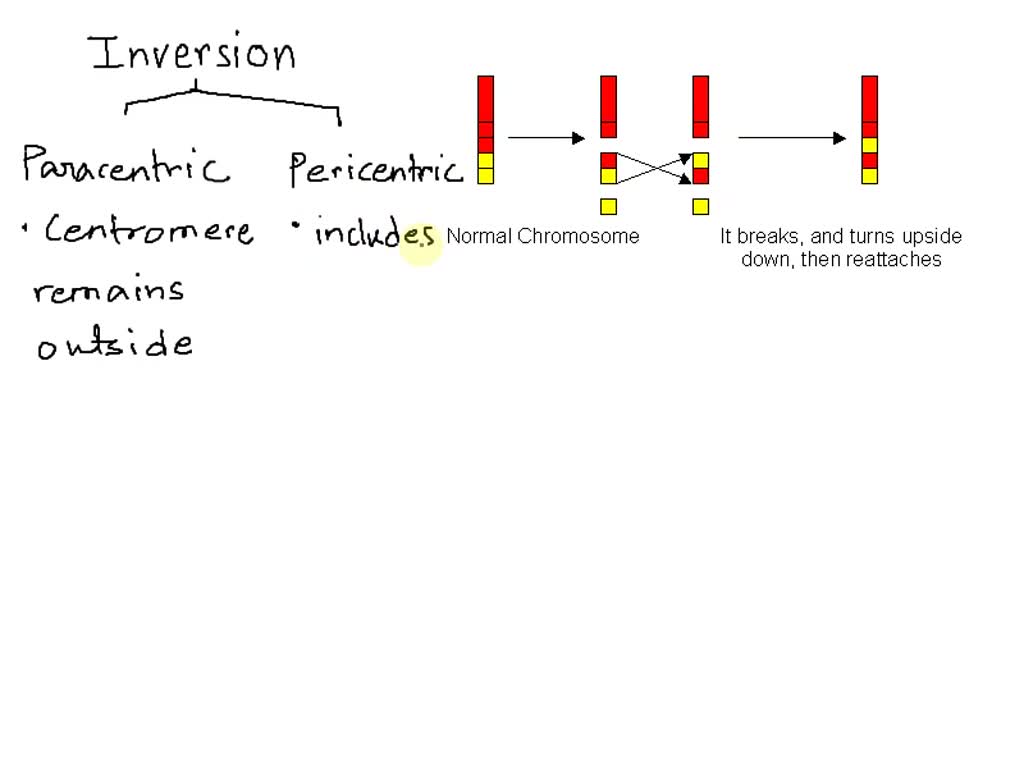 SOLVED: A chromosome has the following gene sequence; where the ...