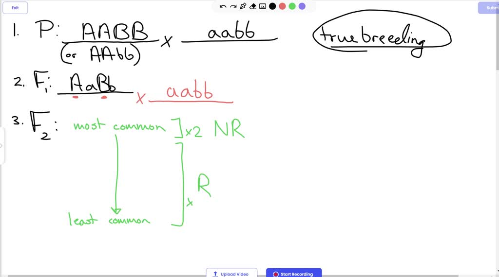 SOLVED: with both phenotypes of the F2? 10.Mar aliens are very hairy! A hairy couple has ...