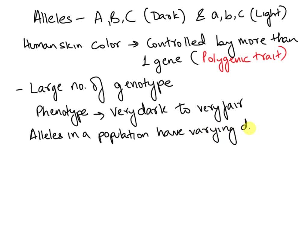 SOLVED: Explain the genotypes and phenotypes of skin color. Summarize ...