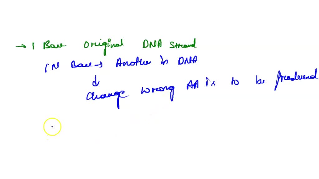 SOLVED: 1. What happens to the amino acid sequence when one base is ...