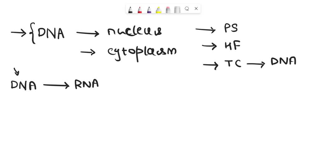 SOLVED: A regulon can be defined a8 coordinately regulated system of ...
