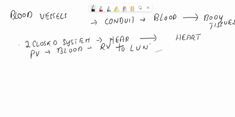 Data Table 1: Microscopic Examination of Cardiac Muscle and Blood ...