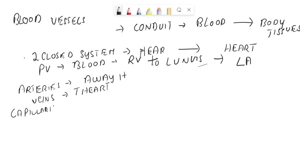 VIDEO solution: Lab Report: Cardiovascular System: Blood Vessels and ...