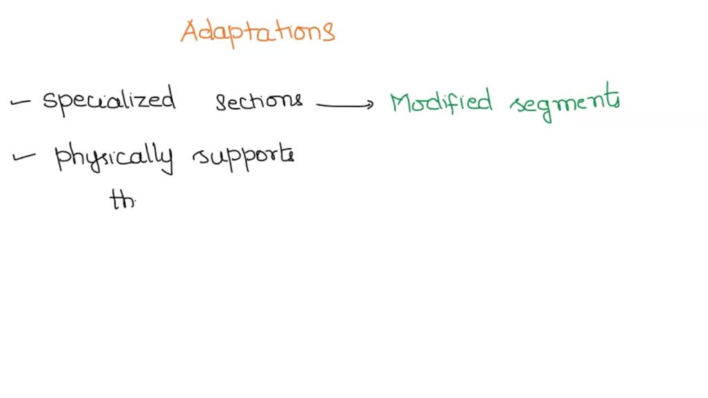 SOLVED: Arthropod adaptations The name arthropods comes from arthro ...