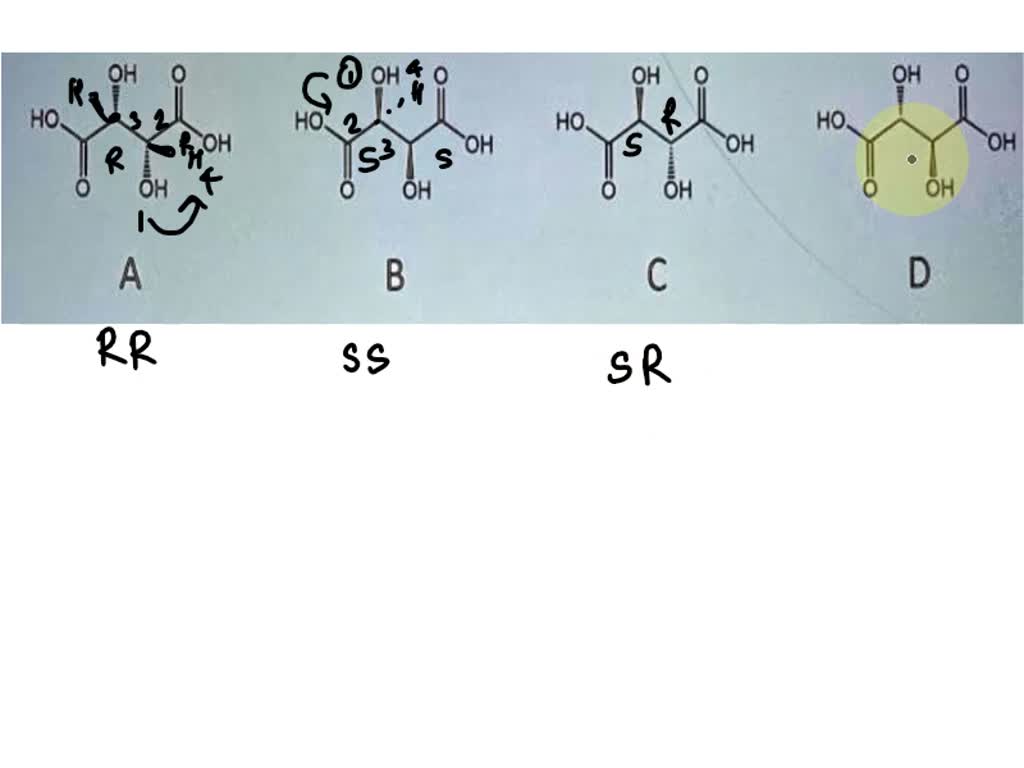 SOLVED: 4 Draw a molecular view including at least two equivalents of ...