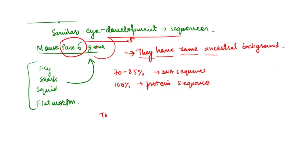 SOLVED: DNA sequencing tool that can decode an organism's DNA into the ...