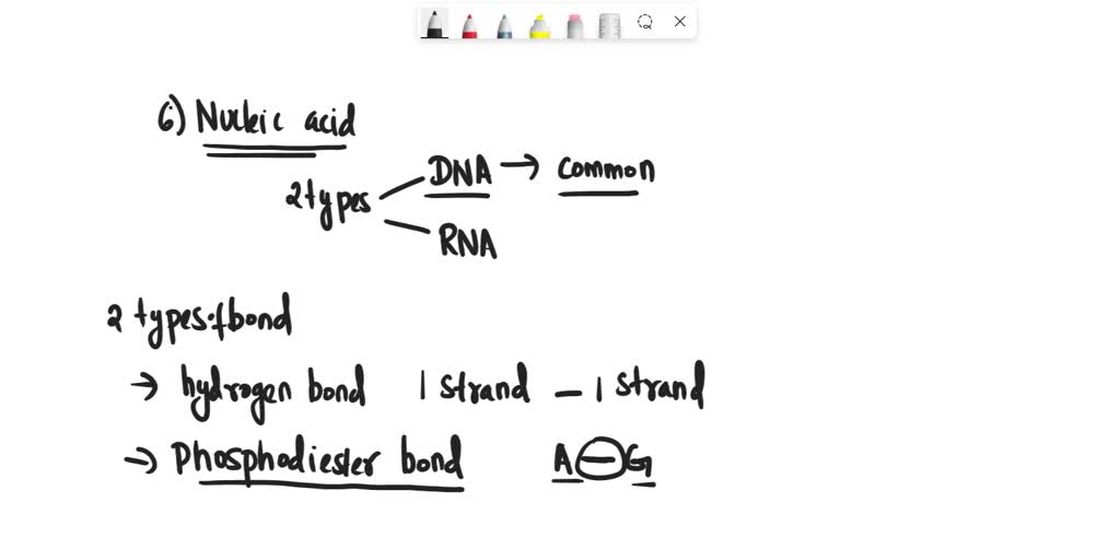 SOLVED: 4. A. In the primary structure of a nucleic acid, the nucleic ...