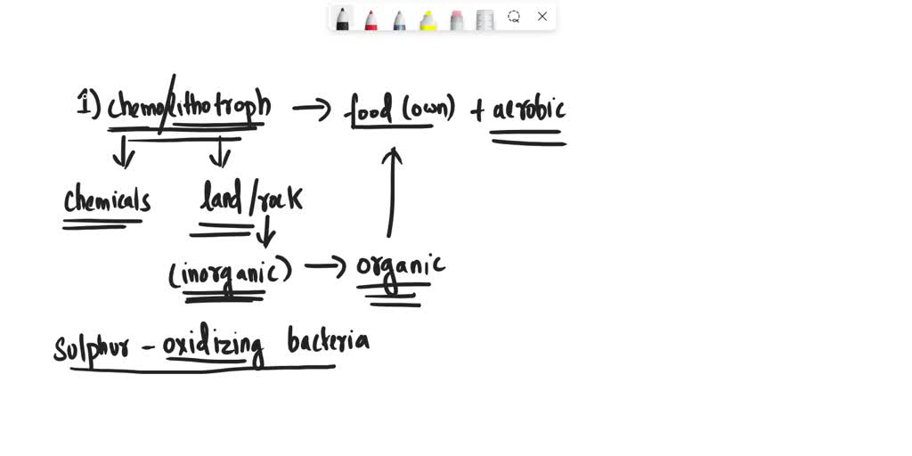 SOLVED: 1. Based on its oxygen requirement Micrococcus luteus is a(n ...