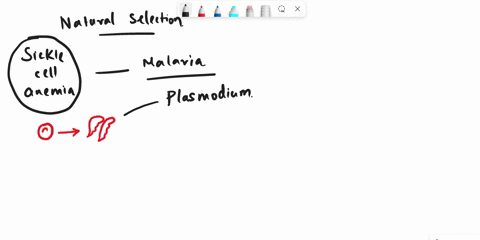 Using the example of sickle cell anemia explain how...