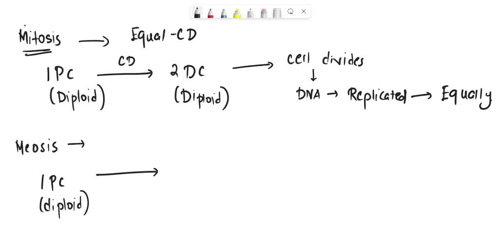 SOLVED: Which of the processes take(s) place within the basidium ...