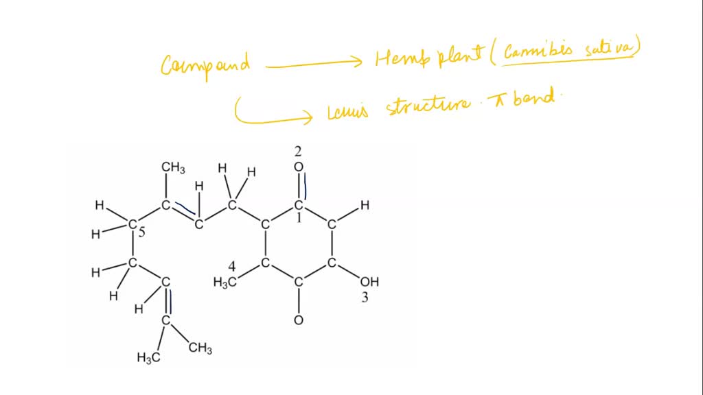 SOLVED: Complete the Lewis structure below of the organic molecule ...