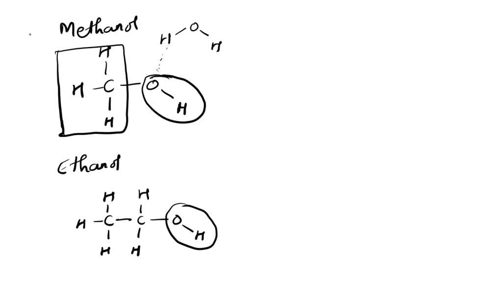 SOLVED: Draw a square around hydrophobic part and a circle around ...