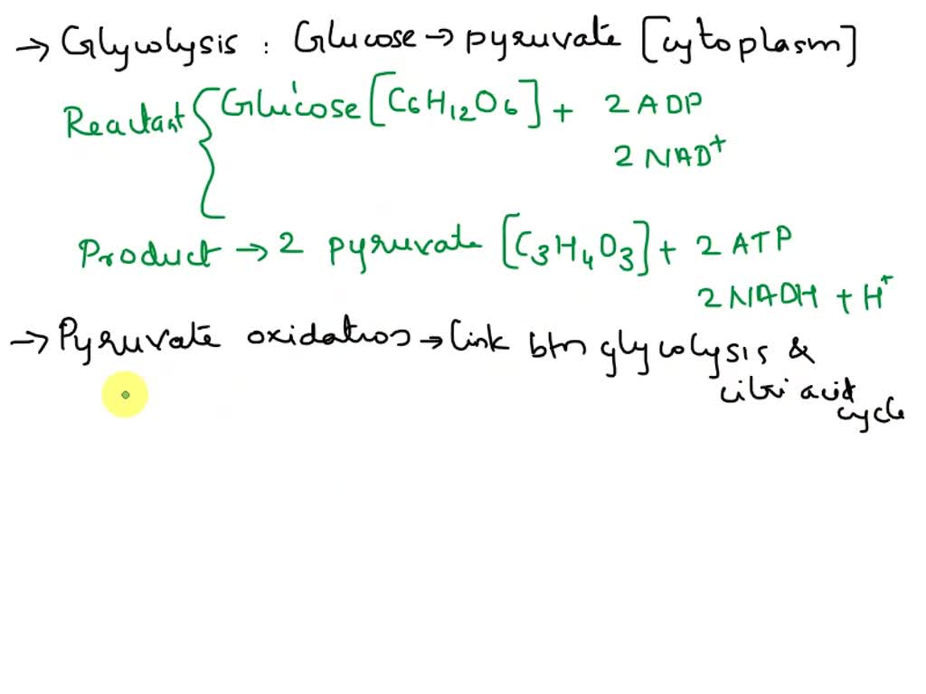 SOLVED: Compare the reactants, products, and energy yield of the three ...