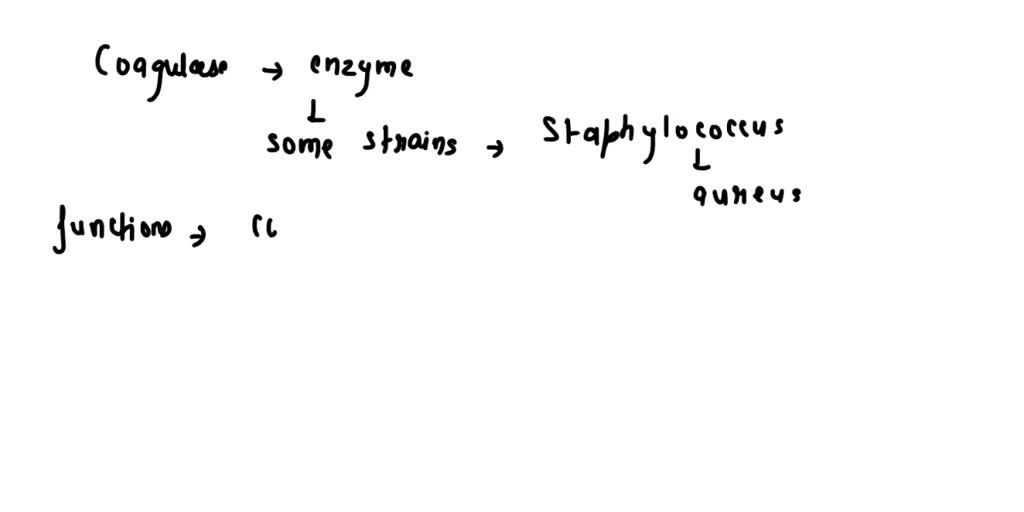 SOLVED: (Staphylococcus) How does the enzyme coagulase function and ...