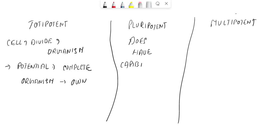 SOLVED: Distinguish between totipotent, pluripotent, multipotent,and ...
