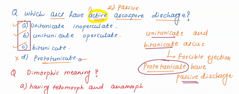 Niranjan N, Numerade Educator